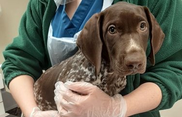 Our Practices - Broadway Veterinary Surgery Wallasey