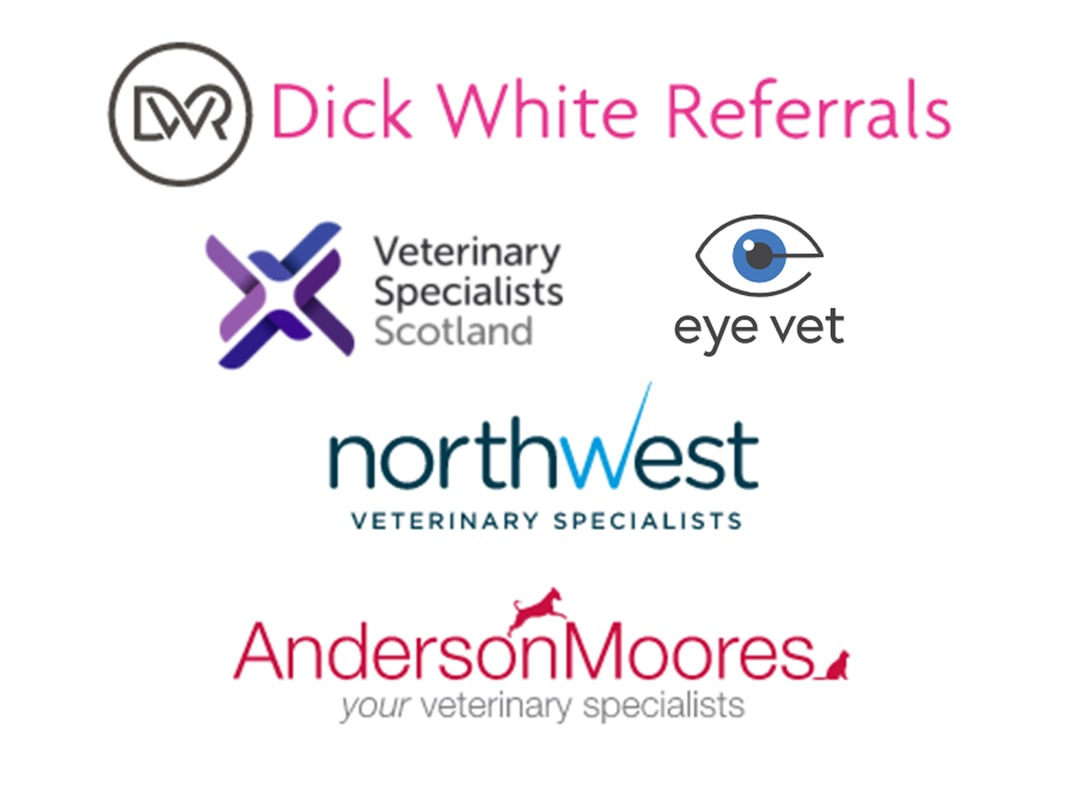 Pets At Home s Specialist Division Joins Linnaeus Family pets-at-home-s-specialist-division-joins-linnaeus-family